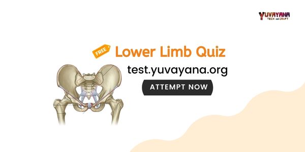 Lower limb MCQs Quiz with answers Free Online Practice Test