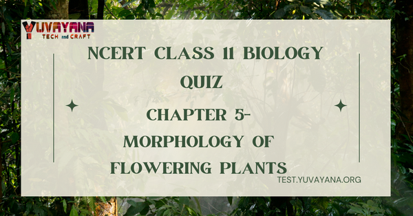 NCERT Class 11 Biology Chapter 5 MCQ Quiz with answers – Morphology of ...