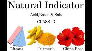 NCERT Class 7 Science Chapter 5 MCQ Test with answers: Acids, Bases and ...
