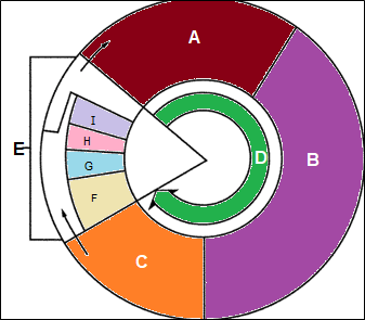 NCERT Class 11 Biology Chapter 10 MCQ Quiz with answers – Cell Cycle ...